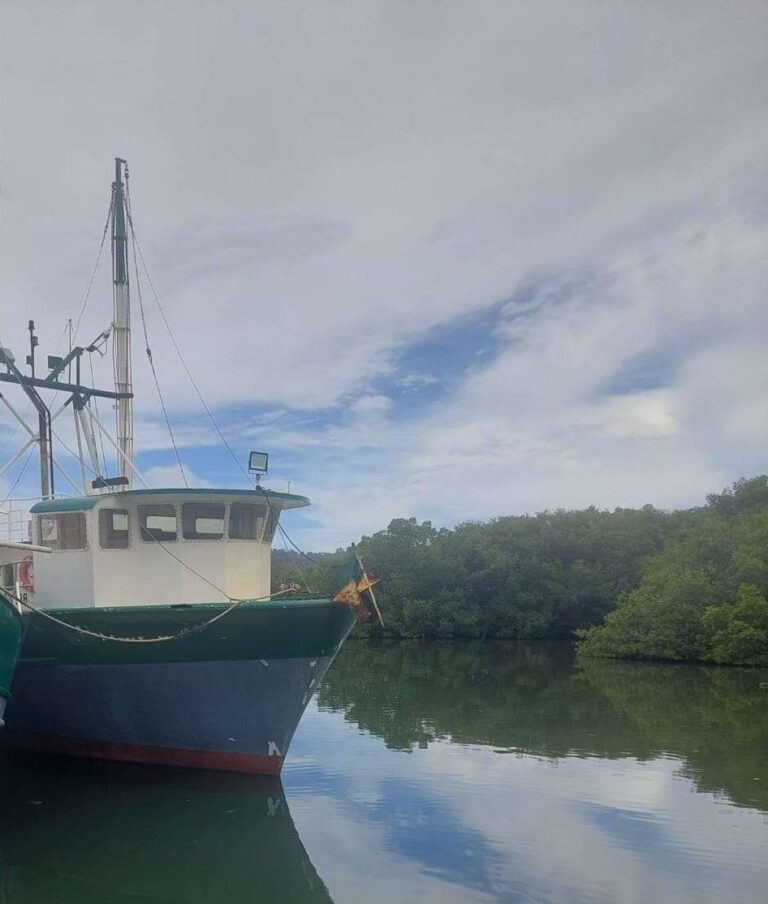 Fiberglass Shrimp Trawlers – East Coast Marine Ship Brokers