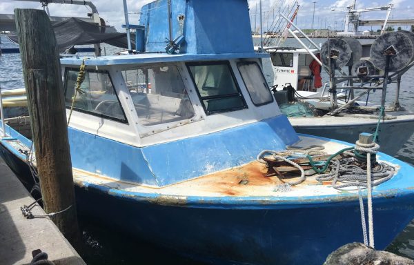 Snapper / Grouper – East Coast Marine Ship Brokers