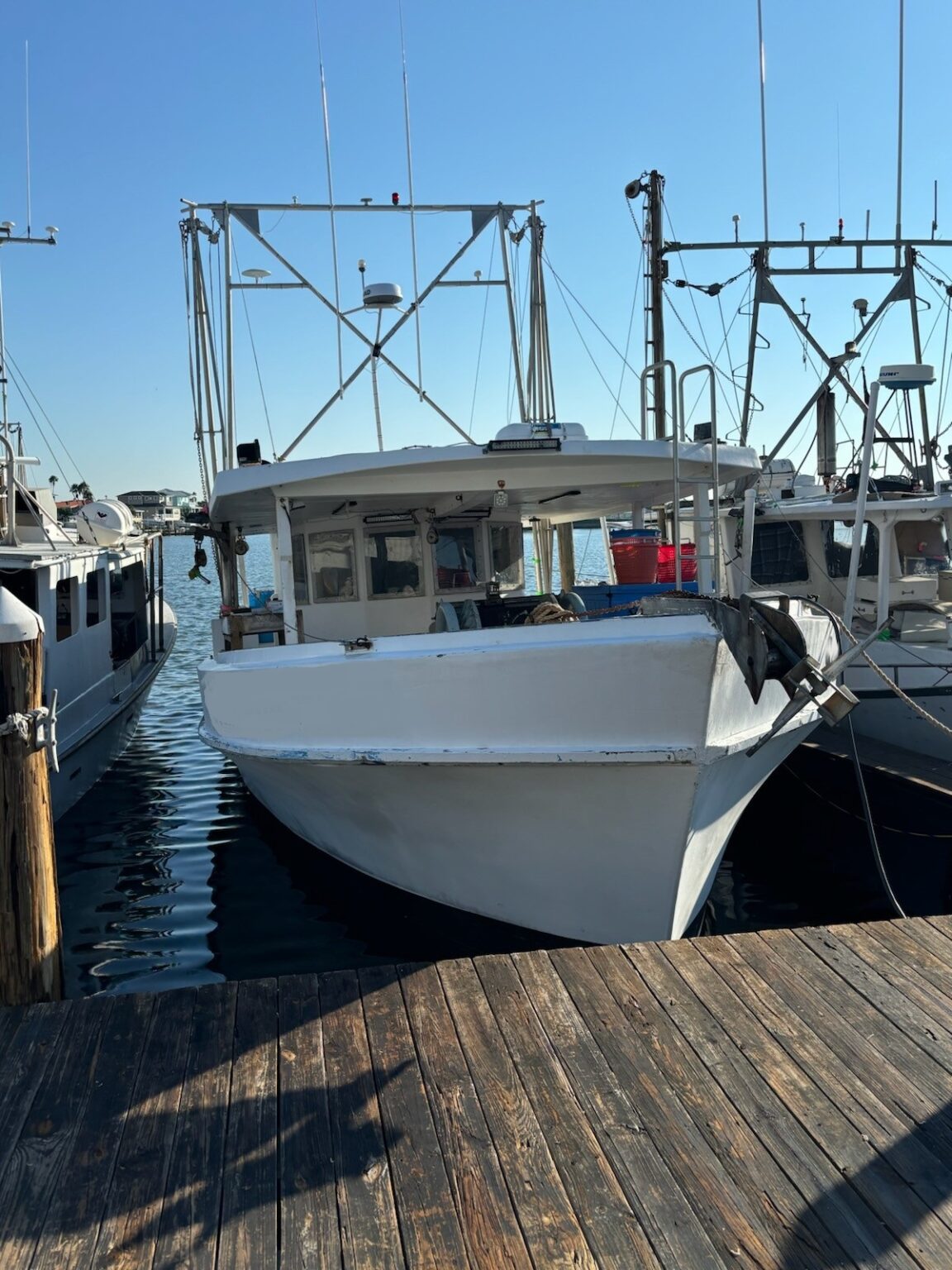 Snapper / Grouper – East Coast Marine Ship Brokers